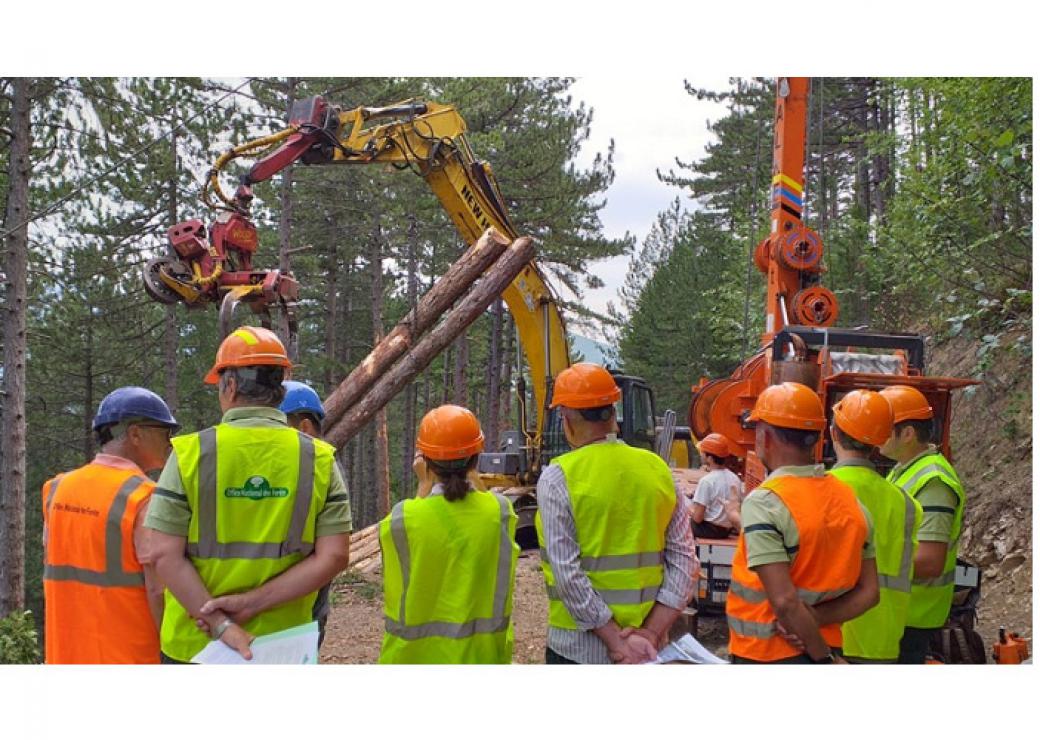 Office national des forêts : le rapport de la mission ...